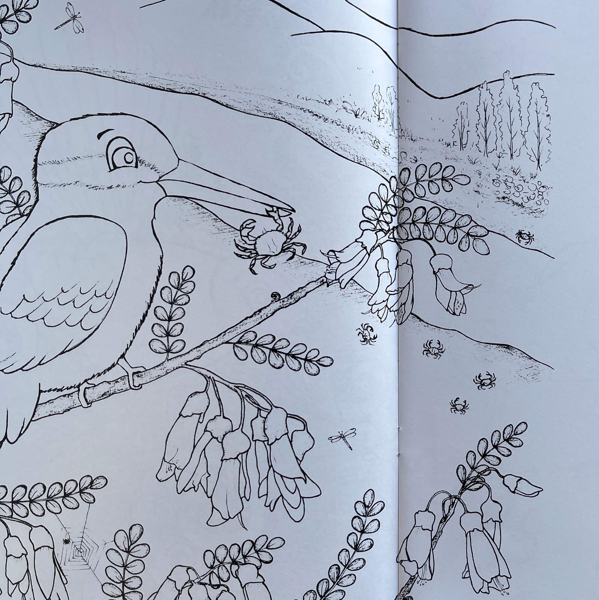 Kererū’s BBQ Colouring Book – School Fundraising Shop NZ